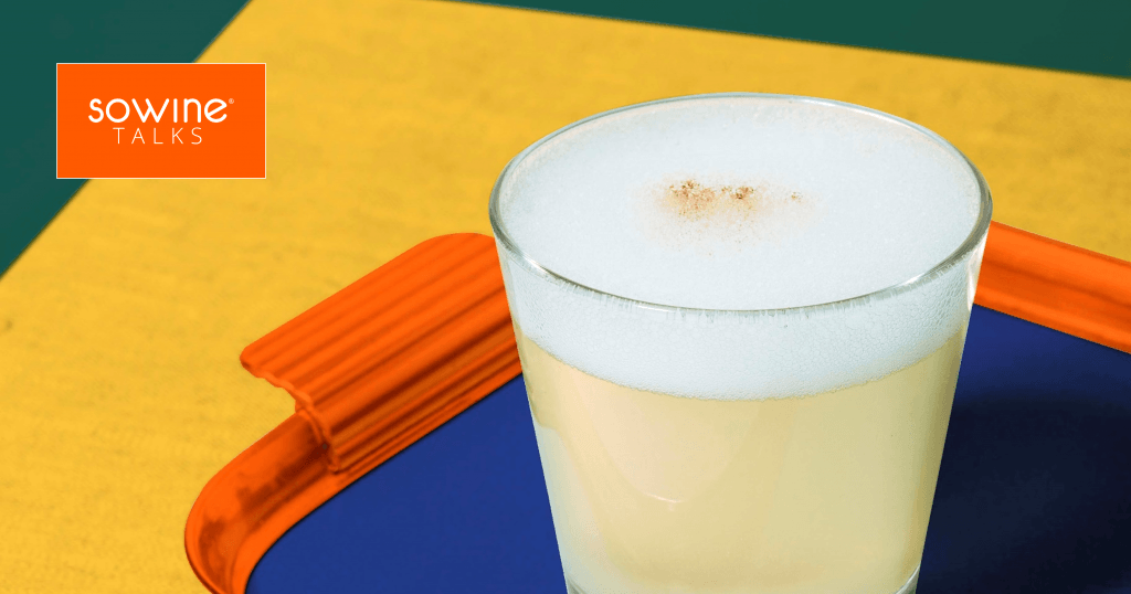 Immersion au cœur des vignobles chiliens